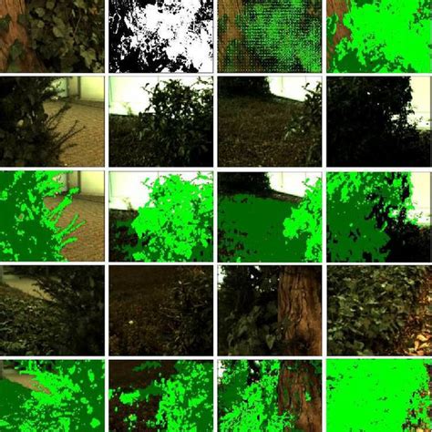 example of vegetation detection results given by different vegetation