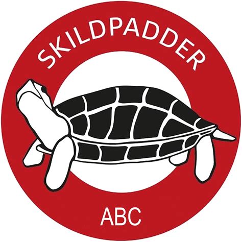 Turtle Abc Youtube