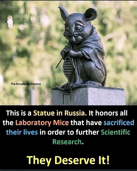 pradeep kumar rajput on linkedin they deserve honors because 👏🏻👏🏻