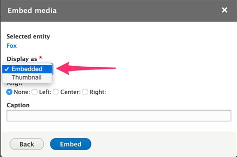 8 how to set width to media entity image in ckeditor drupal answers