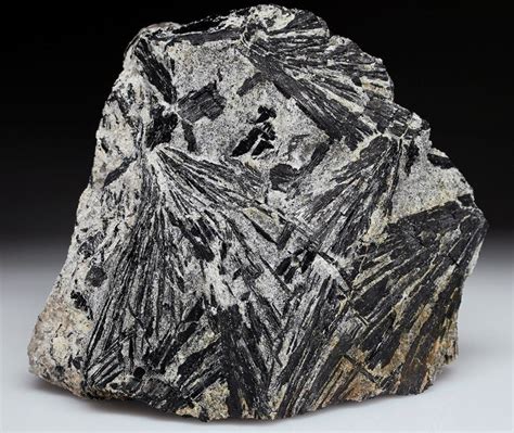 Hornblende Gneiss