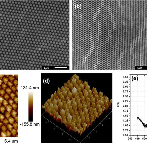 schematic diagrams of a nanocone array under different viewing angles