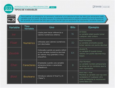 Tipos De Variable Apuntes 3 IntroducciÓn A La ProgramaciÓn Nivel 1 Tipos De Variables
