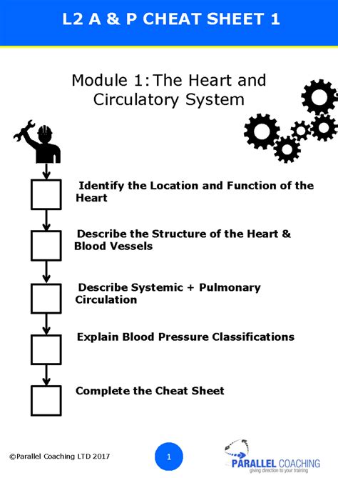 L2 A P Revision Mastery Cheat Sheet Module 1 Heart And Circulatory 1
