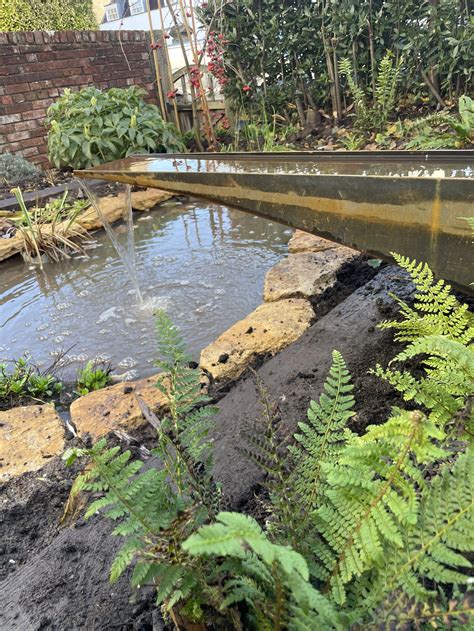 Rill Garden With Wildlife Pond And Bog Planting — Rose Orlik Garden