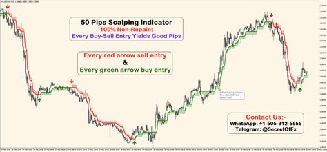 50 Pips Scalping Indicator