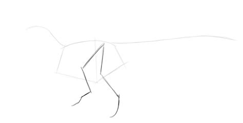 How To Draw A T Rex Dinosaur Envato Tuts