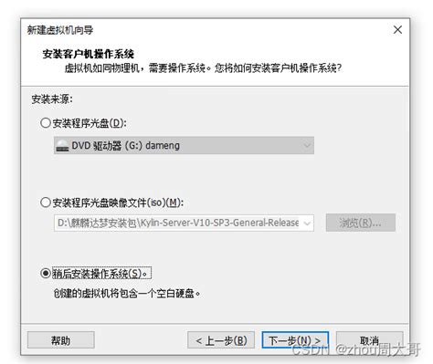 虚拟机 麒麟海光 达梦数据库linux 安装教程 海光服务器光盘安装麒麟系统 csdn博客