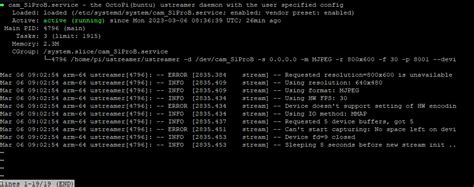 Camera No Signal · Issue 67 · Paukstelisoctoprintdeploy · Github