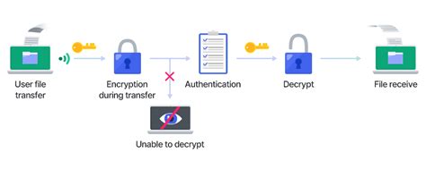 Powerful Secure File Storage And Transfer Rakuten Drive