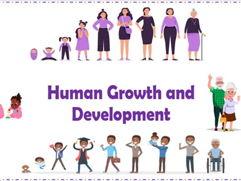 Human growth and Development | Teaching Resources