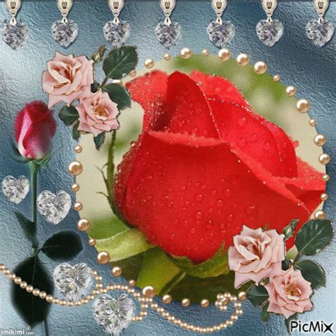 Rose Red Free Animated Gif Picmix