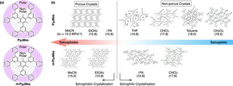 schematic representations of the δ d dependent polymorphism of py 6