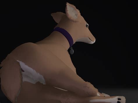 Rule 34 3d Artwork Anatomically Correct Anatomically Correct