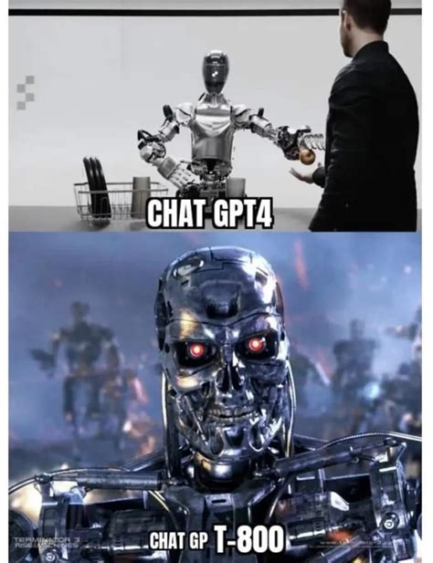 Chatgpt Memes Python