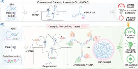 Comparison Of The Conventional Catalytic Assembly Circuit Cac System