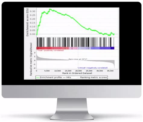 RNA Seq Analysis Basepair