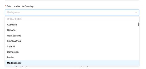 关于 Vue Design Select Dropdownrender 加入 Input 引发的问题 已解决 邓尘锋