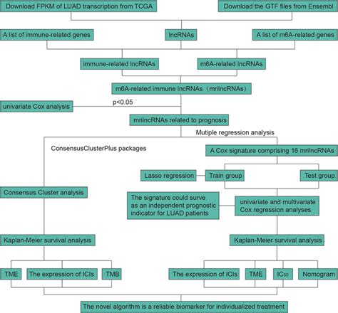 flowchart for the construction of the novel algorithm download