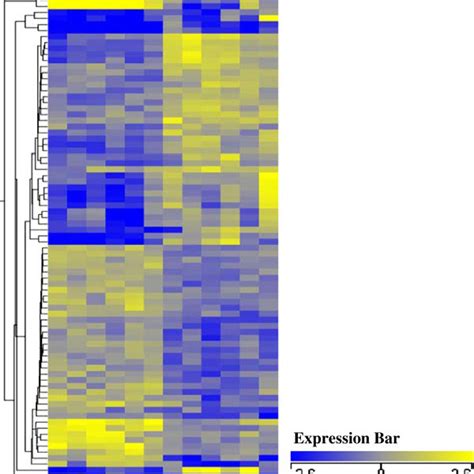 Hierarchical Clustering Of Mrna Expression Profiles In Liver Tissue For