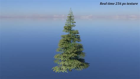 3d Spruce Tree V3 Model Turbosquid 2317862