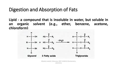 SOLUTION Lipids Studypool