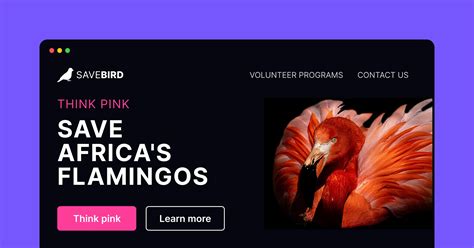 Header Design Examples Best Practices Uxcel