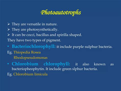 Nutritional Requirement Of Microbes Pptx