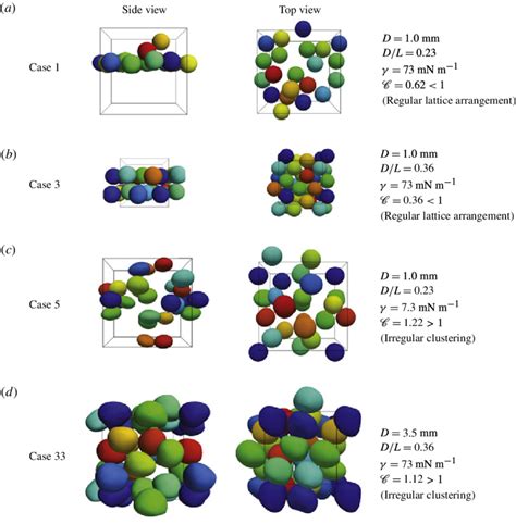 Snapshots Of Bubbles Showing Typical Clustering Morphologies From The Download Scientific