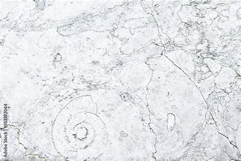 Background Fossil Stock Illustration Adobe Stock Background Fossil Stock Illustration Adobe Stock