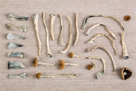Should I Buy Magic Mushrooms Through Those Weird Facebook Ads The