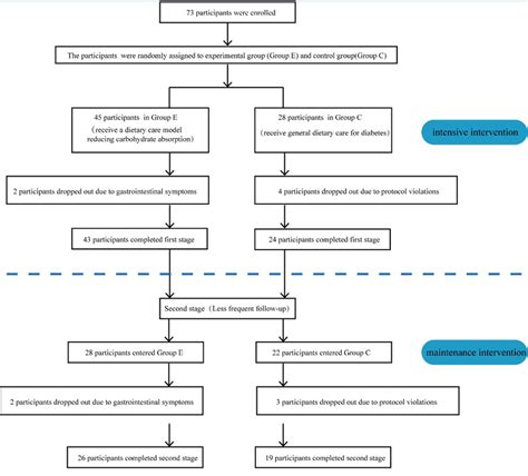 experimental procedure download scientific diagram