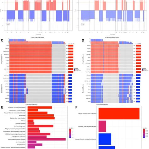 Oncoplot Of Potential Driver Genes Containing Significant Snvs Of The
