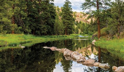 On The Cover Ls Ranch