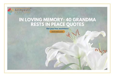 Best Grandma Memory Quotes Honoring Her Legacy