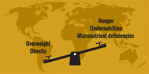 Hunger And Obesity The Paradoxes Of Our Food System Sdg2 Advocacy Hub