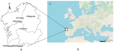 Remote Sensing Special Issue Applications Of Individual Tree Detection Itd