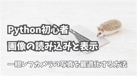 Python初心者画像の読み込みと表示 たまこじブログ