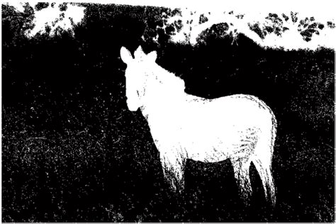 Dont Photoshop Itmatlab It Image Effects With Matlab Part 4 Steve On Image Processing