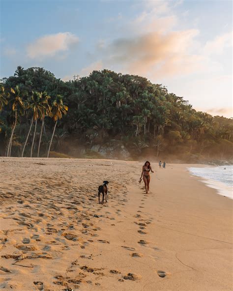 Best 13 Things To Do In San Pancho Nayarit Mexicos Hippy Hidden Gem