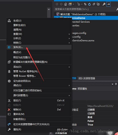 C Web 简单接口开发、发布及部署详细教程（全面）c接口开发 Csdn博客