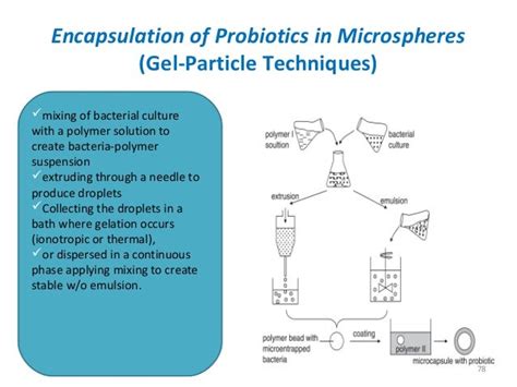 An Overview Of Encapsulation Technologies For Food
