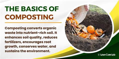 Composting Transform Household Waste Into Powerful Lawn Nutrients Lawn Care Lab