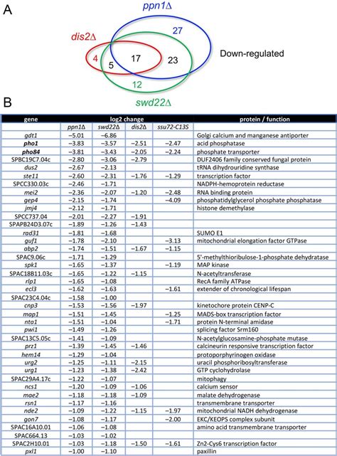 Coding Genes Down Regulated In Dps Mutants A Venn Diagram Depicting Download Scientific Coding Genes Down Regulated In Dps Mutants A Venn Diagram Depicting Download Scientific