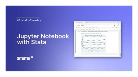 Data Analysis And Reporting Using Stata And Jupyter Notebook By Hwanjiku Fiverr