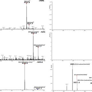 LCMS LCMS 2 And LCMS 3 Results In Positive MS And MS2 And Negative Download Scientific