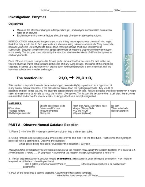 Catalase Reaction With Hydrogen Peroxide