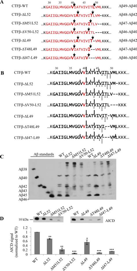 Transmembrane Substrate Determinants For γ Secretase Processing Of App Ctfβ Pmc