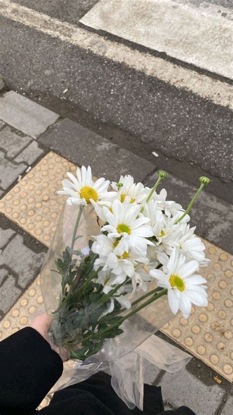 Pin By Nina Davide On Pins By You Nothing But Flowers Flower Aesthetic Pretty Flowers