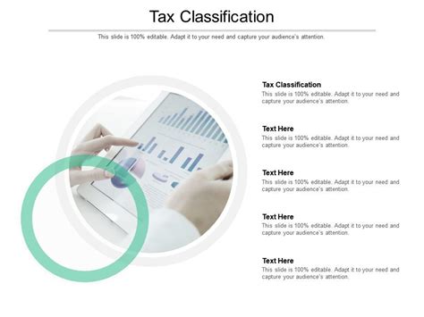 Tax Classification Ppt Powerpoint Presentation Professional Grid Cpb | PowerPoint Slides ...